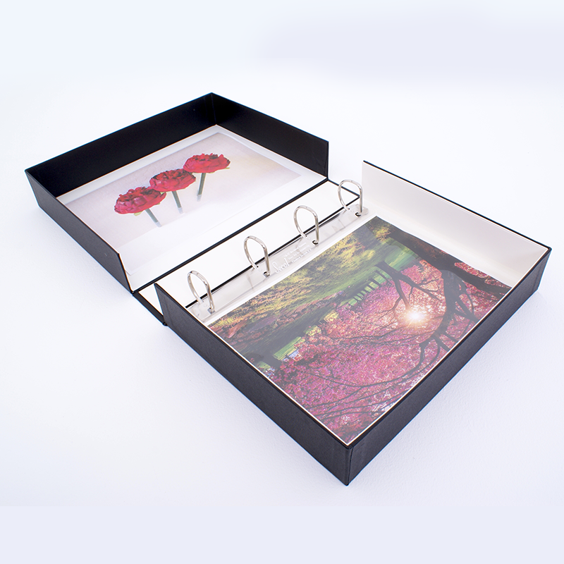 Premium D-Ring Binder Box – GRyderCo